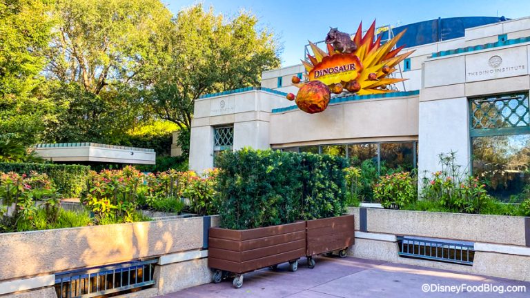 PHOTOS: 7 Projects That Could Impact Your Disney World Trip in a BIG ...