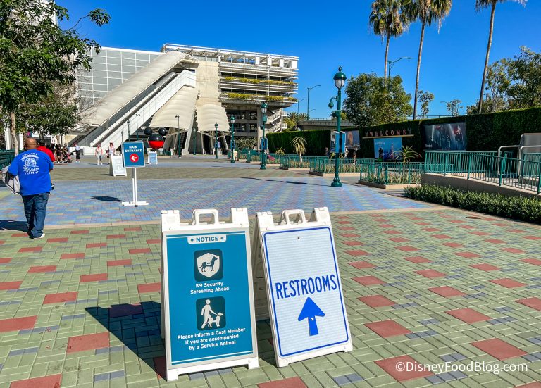 Downtown Disney Parking Tips | the disney food blog