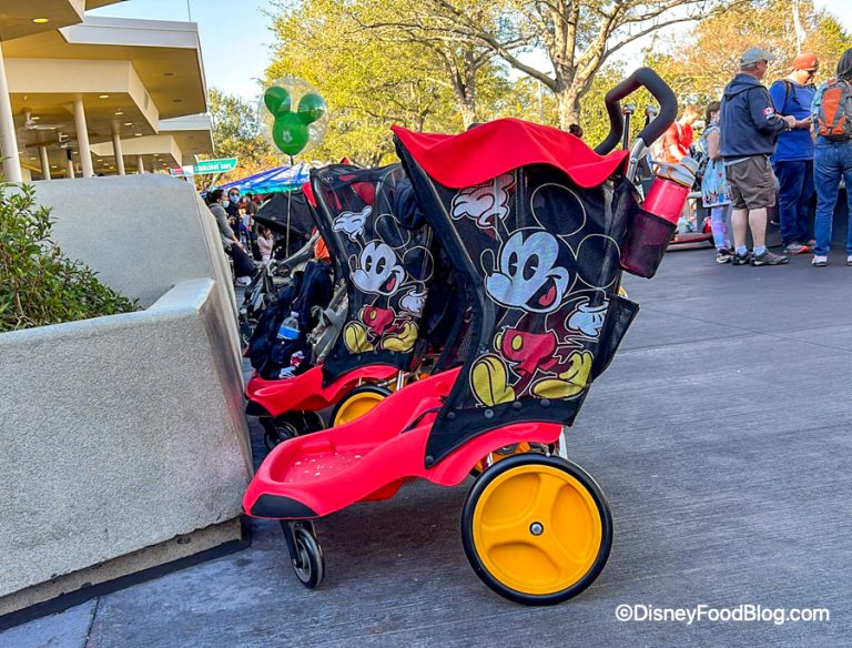 Everything You Need To Know About Stroller Rentals In Disney World Everything You Need To Know About Stroller Rentals In Disney World