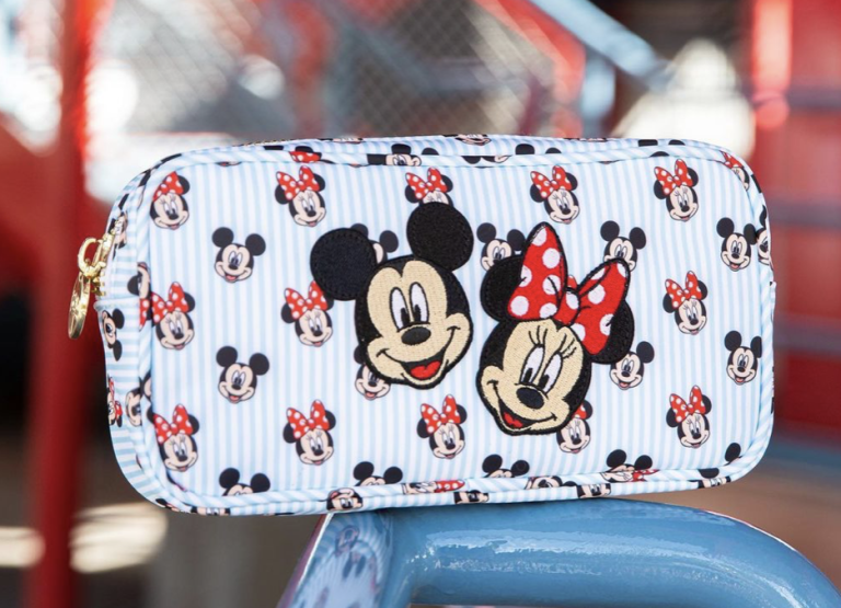 🚨ALERT🚨There's a NEW Stoney Clover X Disney Collab Coming Soon! | the ...