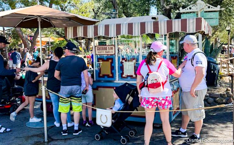 EVERY. SINGLE. Churro You Can Get at Disneyland Resort Right NOW 😋 ...