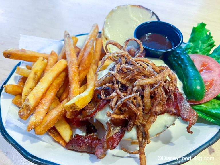 EVERY. SINGLE. BURGER. You Can Get in Disney World and Disneyland🍔 ...