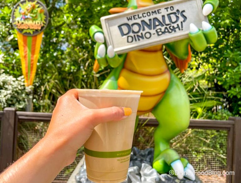 REVIEW: Cold Brew with ICE CREAM?! Say No More, Disney World | the ...