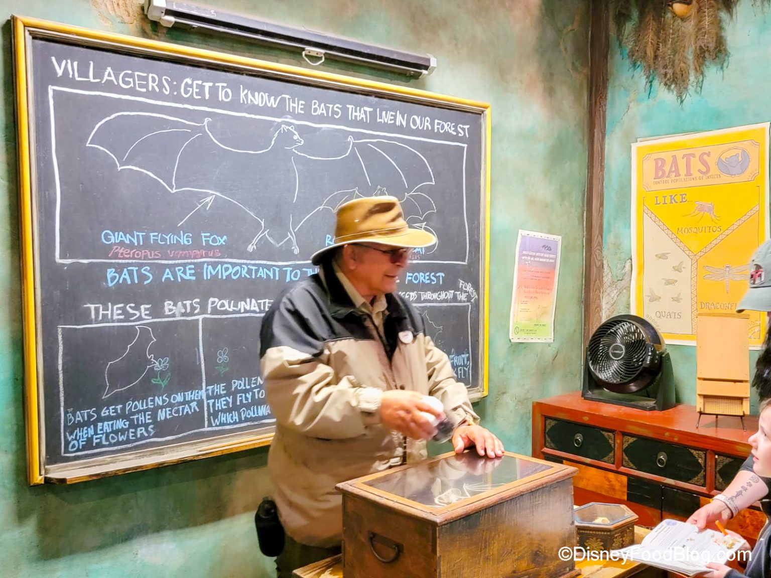 Another Part of Disney's Animal Kingdom Will Close Soon | the disney ...
