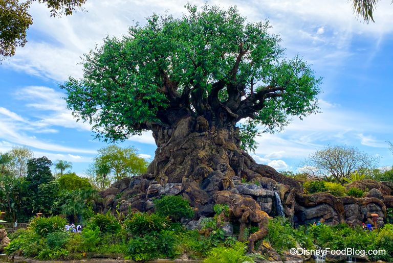 6 Things That'll Blow Your Mind About a Disney World Icon | the disney ...
