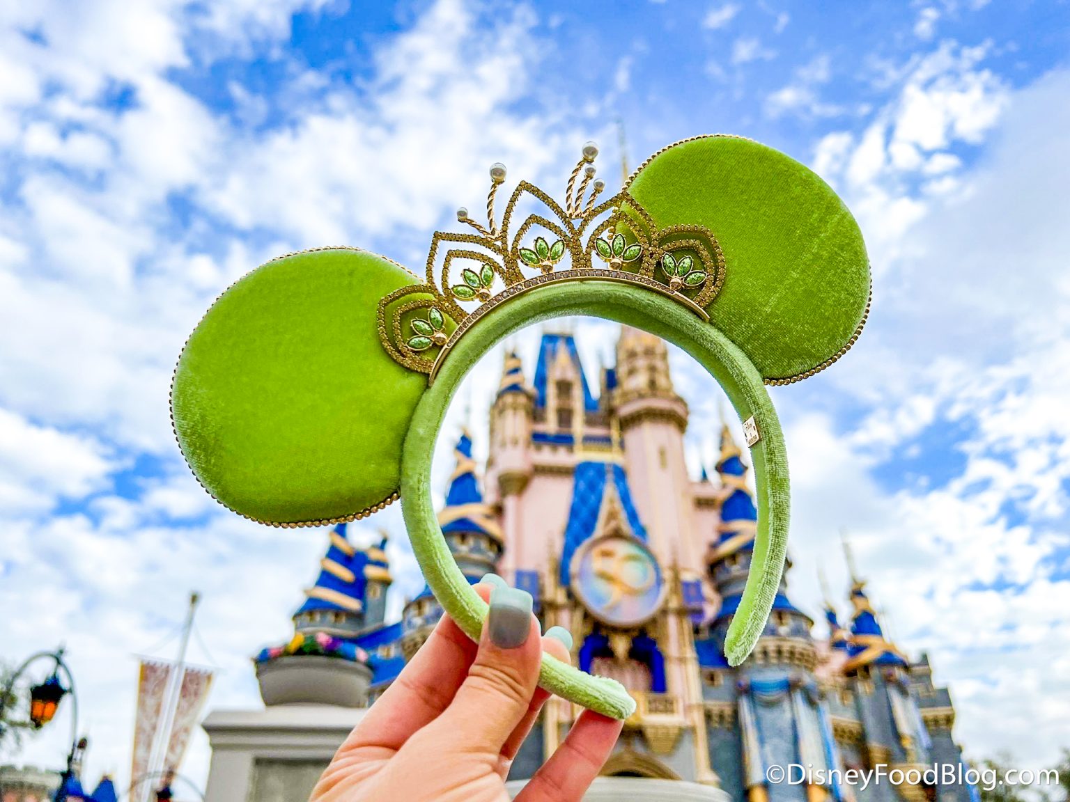 PHOTOS: Would You Pay $50 for these NEW Princess Ears in Disney World ...