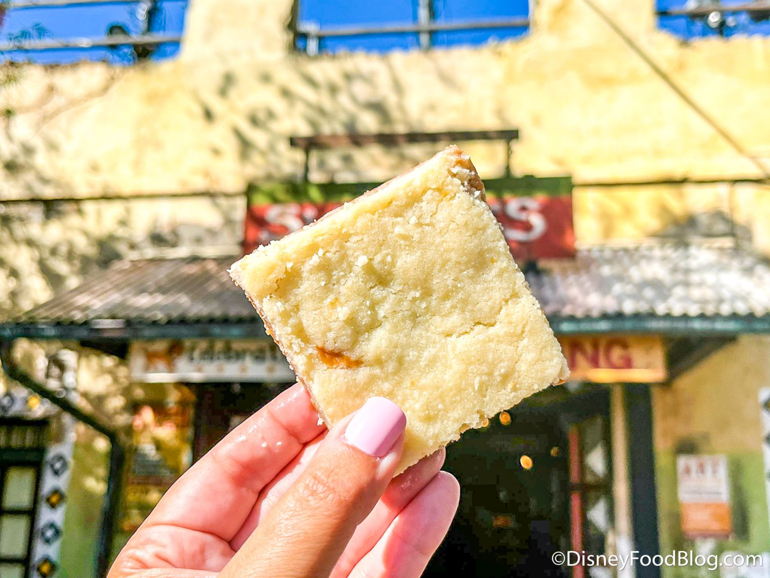 12 AWESOME Disney World Snacks UNDER $5 (Plus 8 BONUS Favorites!) | the ...