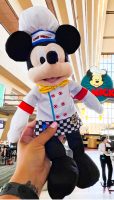Proceed With ⚠️: Hard Core Chef Mickey's Fans Might Obsess Over This ...