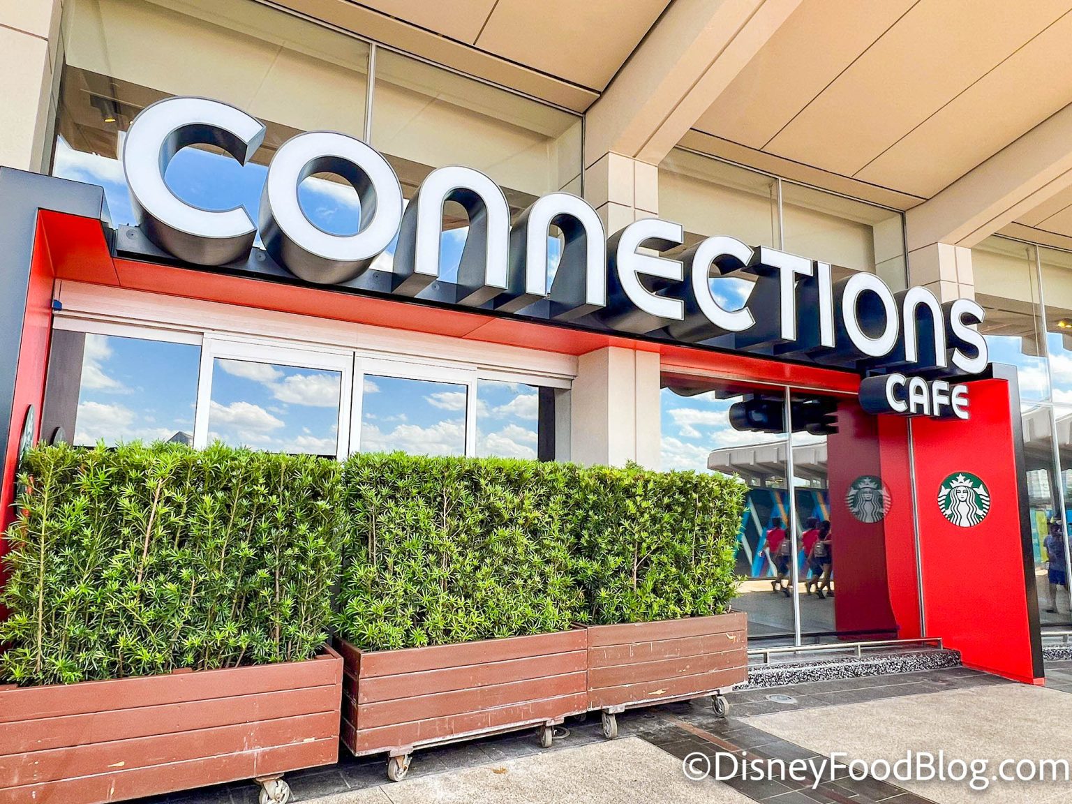 What's New in EPCOT: Moana Attraction Construction and a Popular ...