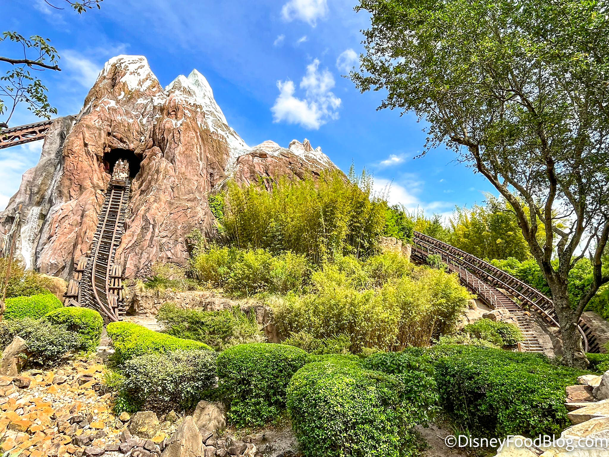 WHAT Is Going On With Expedition Everest At Disney World Disney By Mark WHAT Is Going On With Expedition Everest At Disney World Disney By Mark