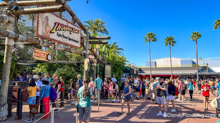 DFB Video: Answering ALL Your Questions About Disney's Hollywood ...