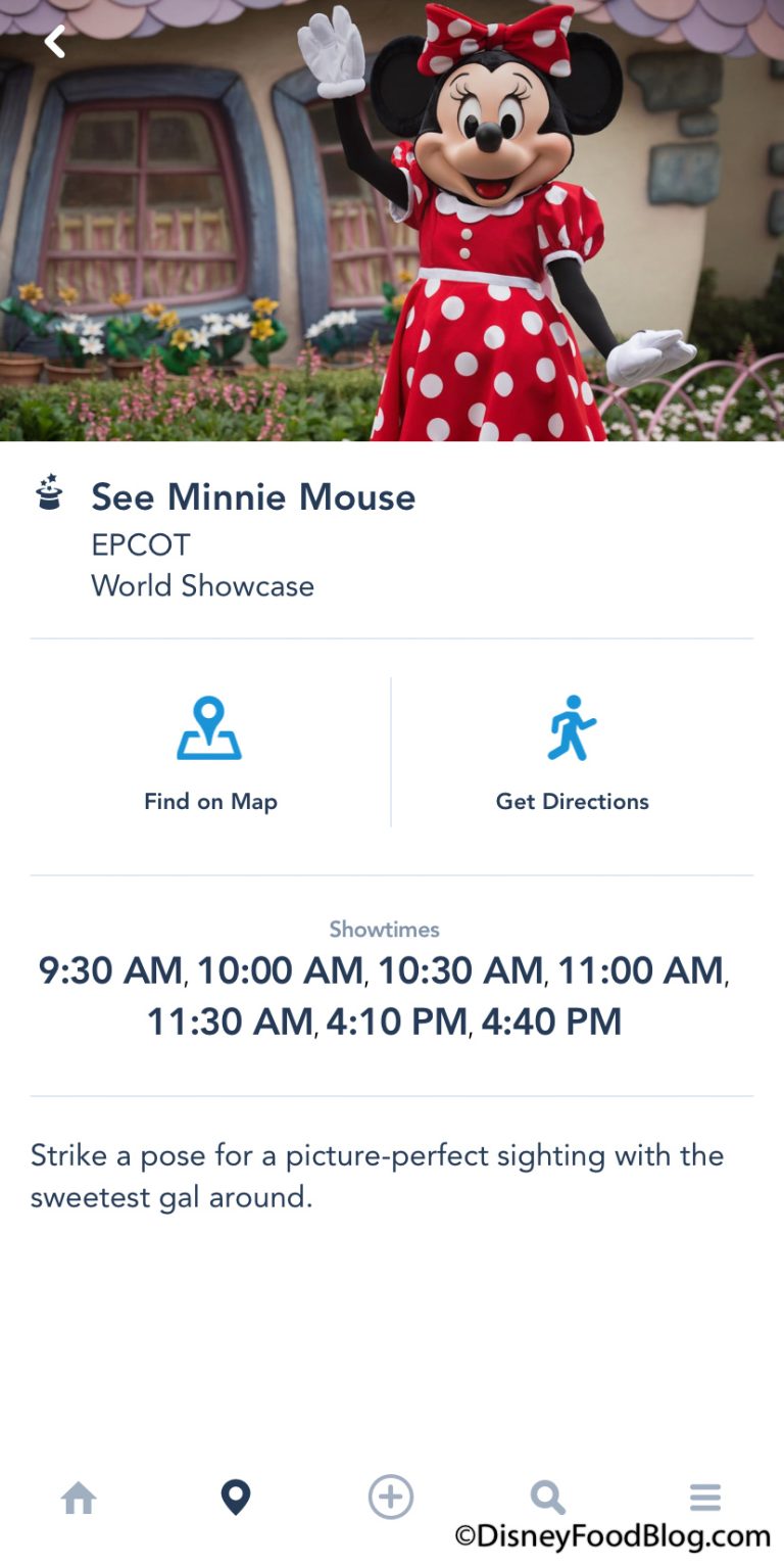 The EASY Way to See Which Characters Have PhotoPass in Disney World ...