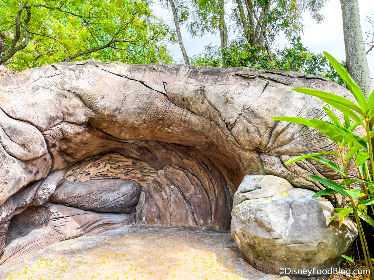 Disney Cast Members Share Animal Kingdom Facts | the disney food blog