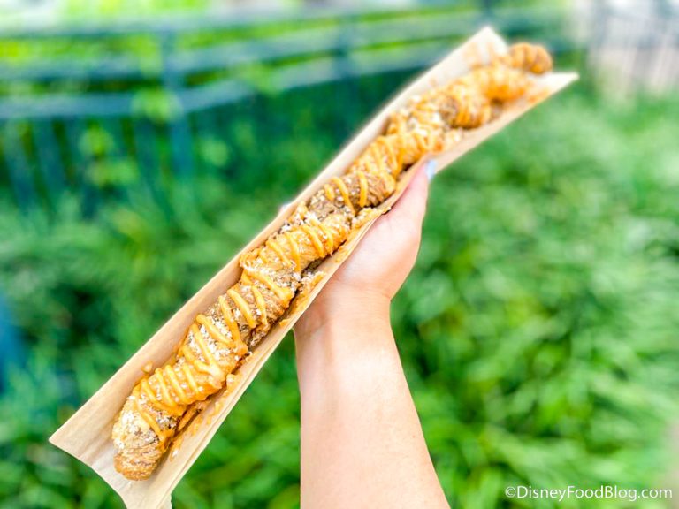 REVIEW: We Tried 3 NEW Churros — But Only ONE Can Come to Disney World ...