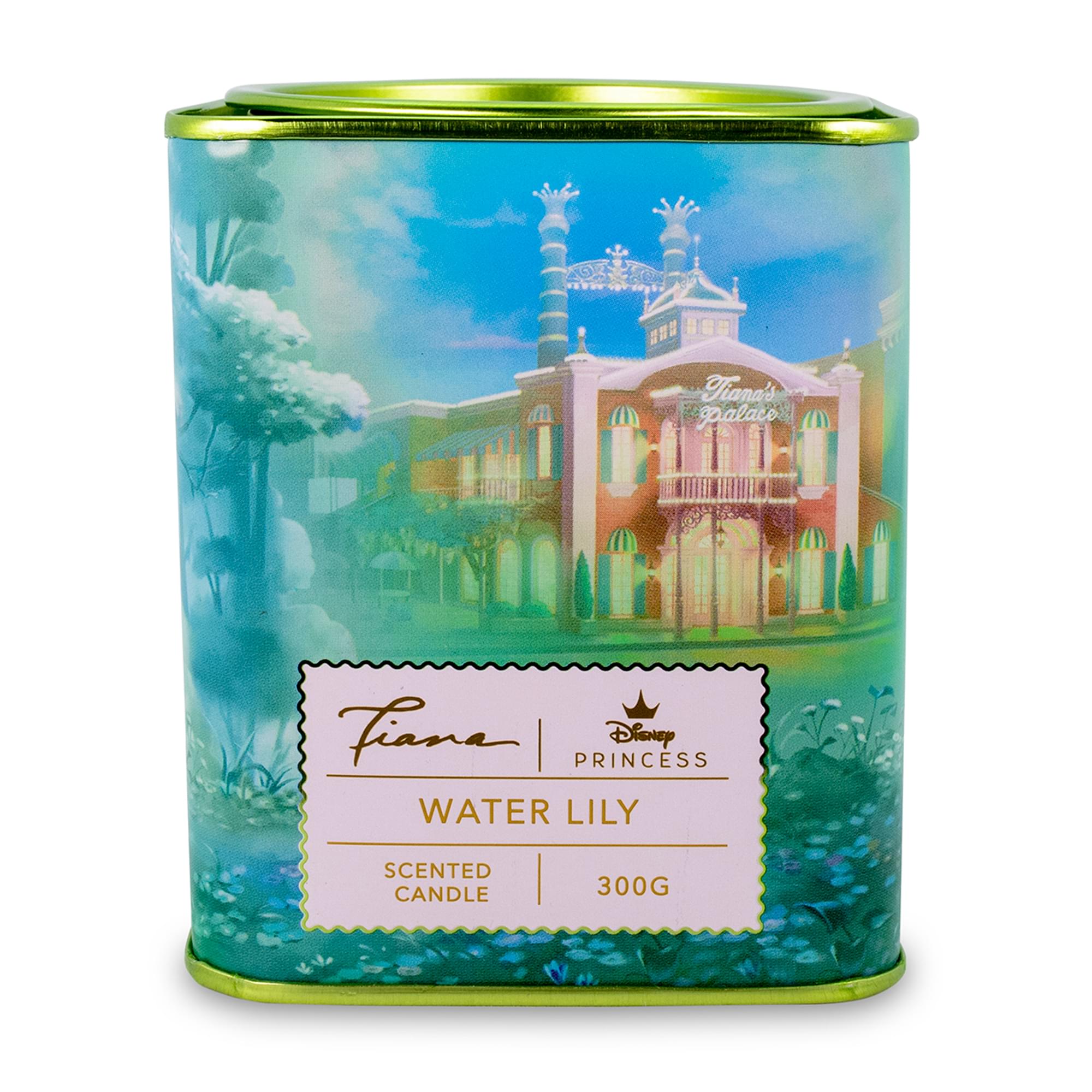 You Can Buy Disney Princess Candles ONLINE RIGHT NOW! | the disney food ...
