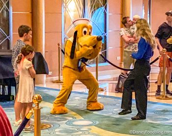 Cruising on the Disney Wonder: Everything You Need to Know | the disney ...