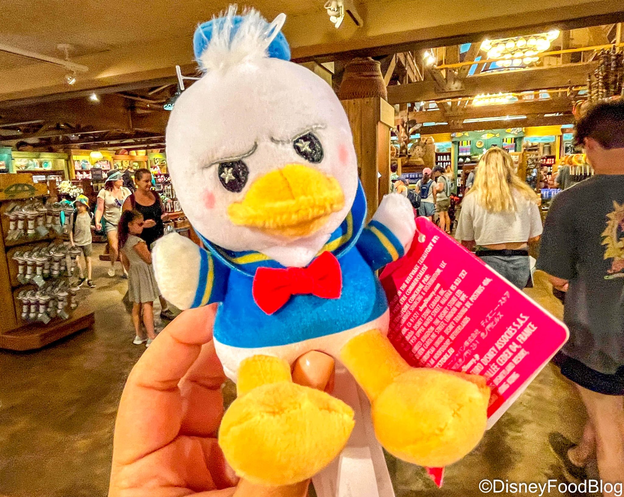 What's New in Animal Kingdom: A Unique Mickey and Minnie Meet-and-Greet ...