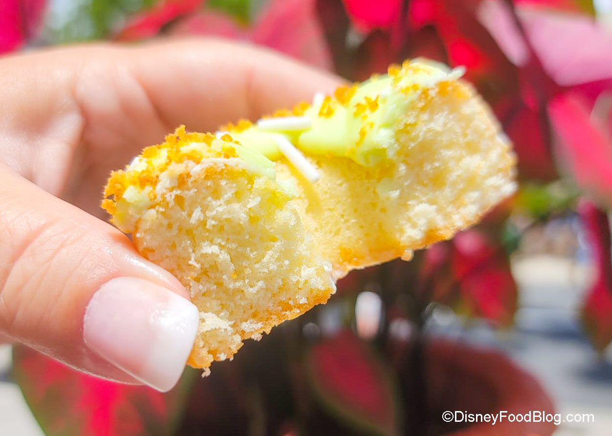 REVIEW: The Disney World Shake We Will Buy Again and Again! | the ...