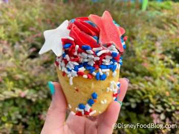 REVIEW: Don't Let The Flavors Of This Disney World Cupcake Keep You ...