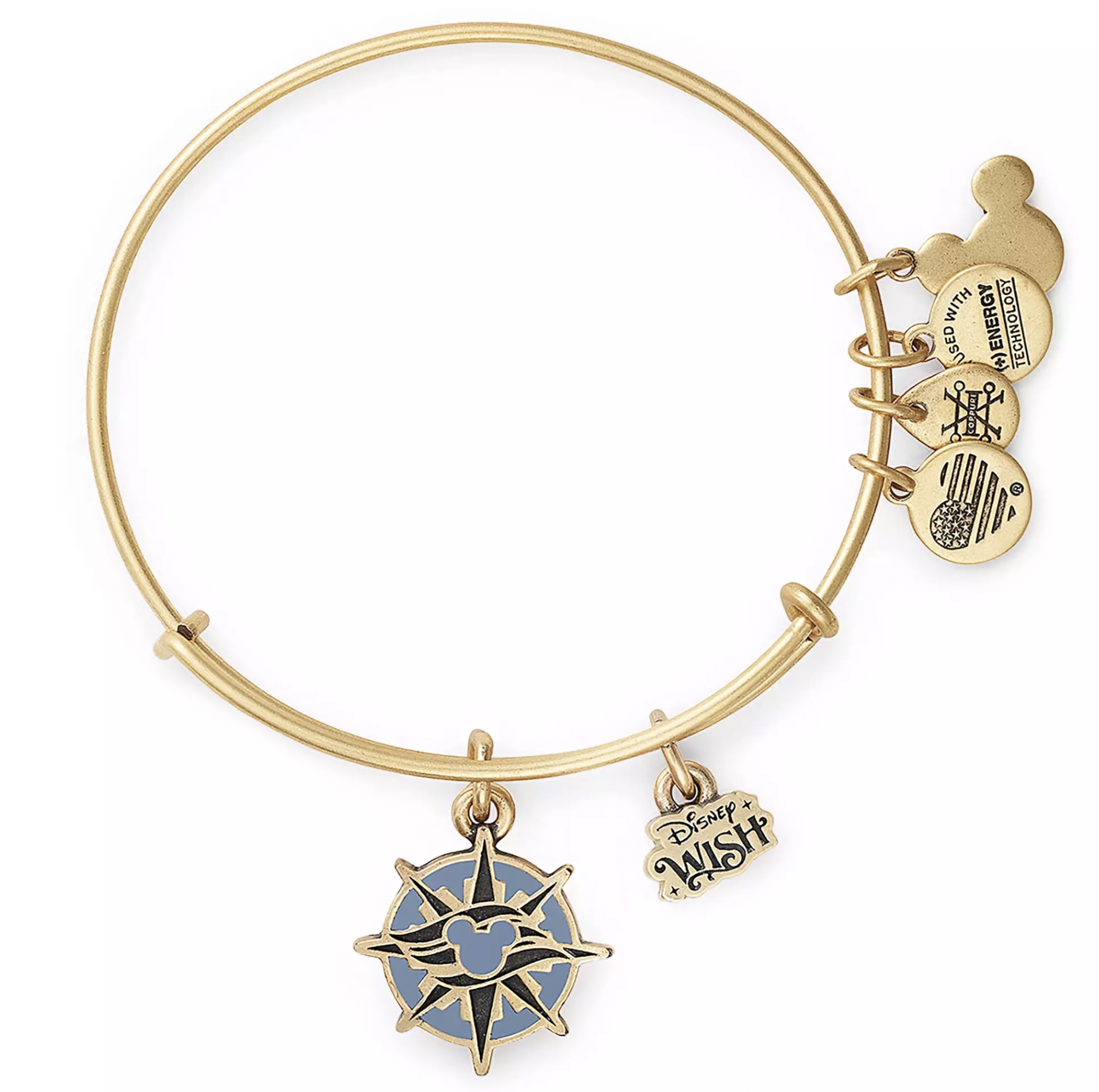 How to Get the NEW Disney Wish Merchandise Without Paying for a Cruise ...
