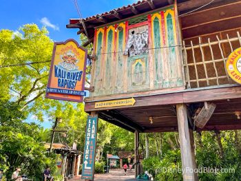 DATE ANNOUNCED for Reopening of Kali River Rapids at Animal Kingdom ...