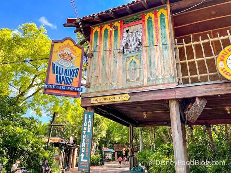 DATE ANNOUNCED for Reopening of Kali River Rapids at Animal Kingdom ...