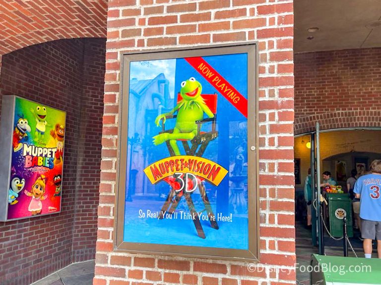 Which Rides Had the LONGEST Wait Times in Disney World This Week | the ...
