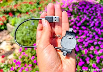 The ONLY MagicBand+ Guide You NEED to Read for Disney World | the ...