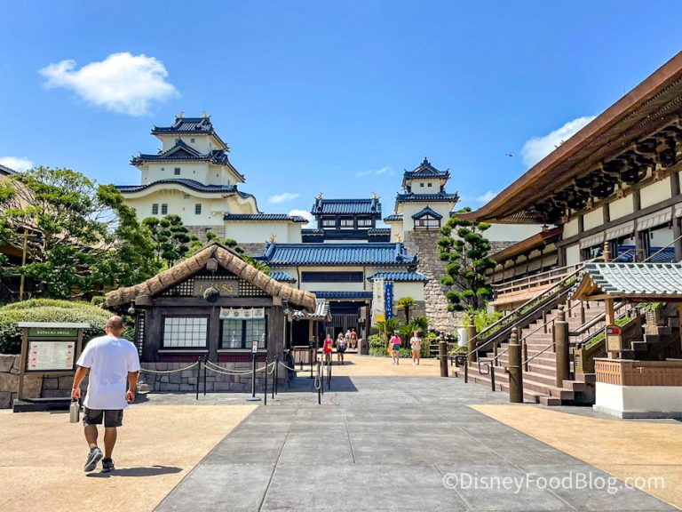 Why You Should SKIP the Most Exciting Dining Experience in EPCOT | the ...