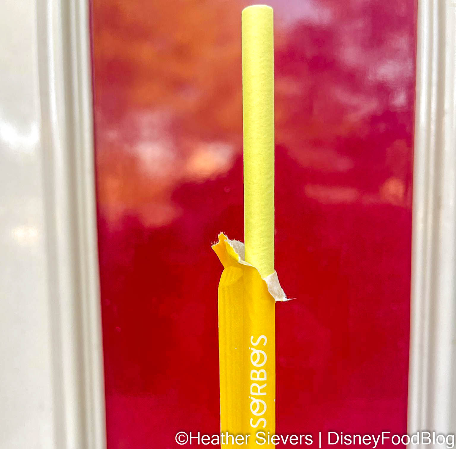Yes. We PAID to Eat Our Straw at Disneyland. | the disney food blog