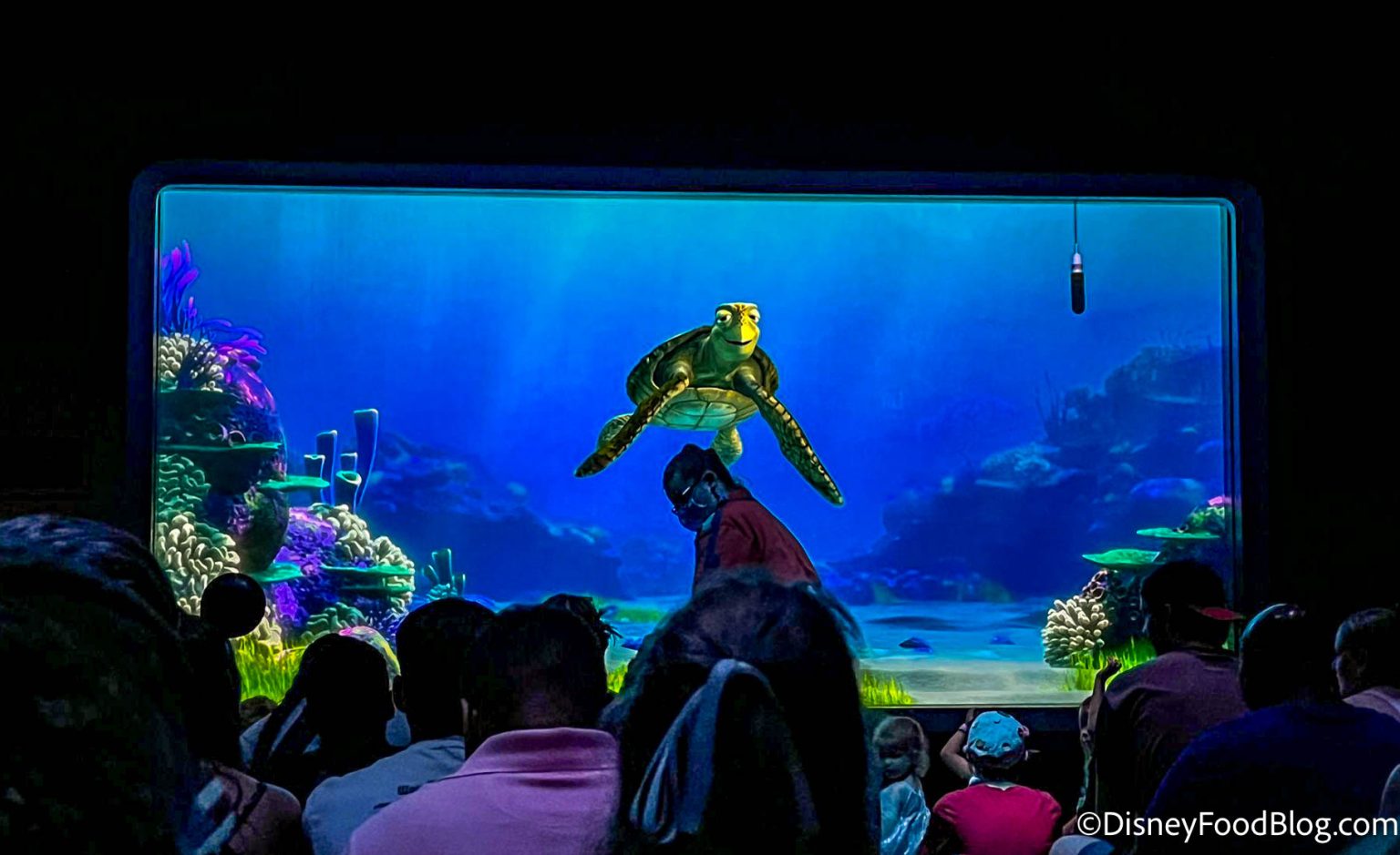 The Unspoken Rule You Should Follow at the Seas Pavilion in EPCOT | the ...