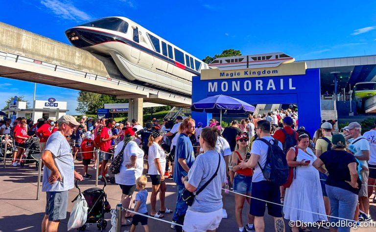 PHOTOS: See How CROWDED Disney World Is Ahead of Labor Day Weekend ...