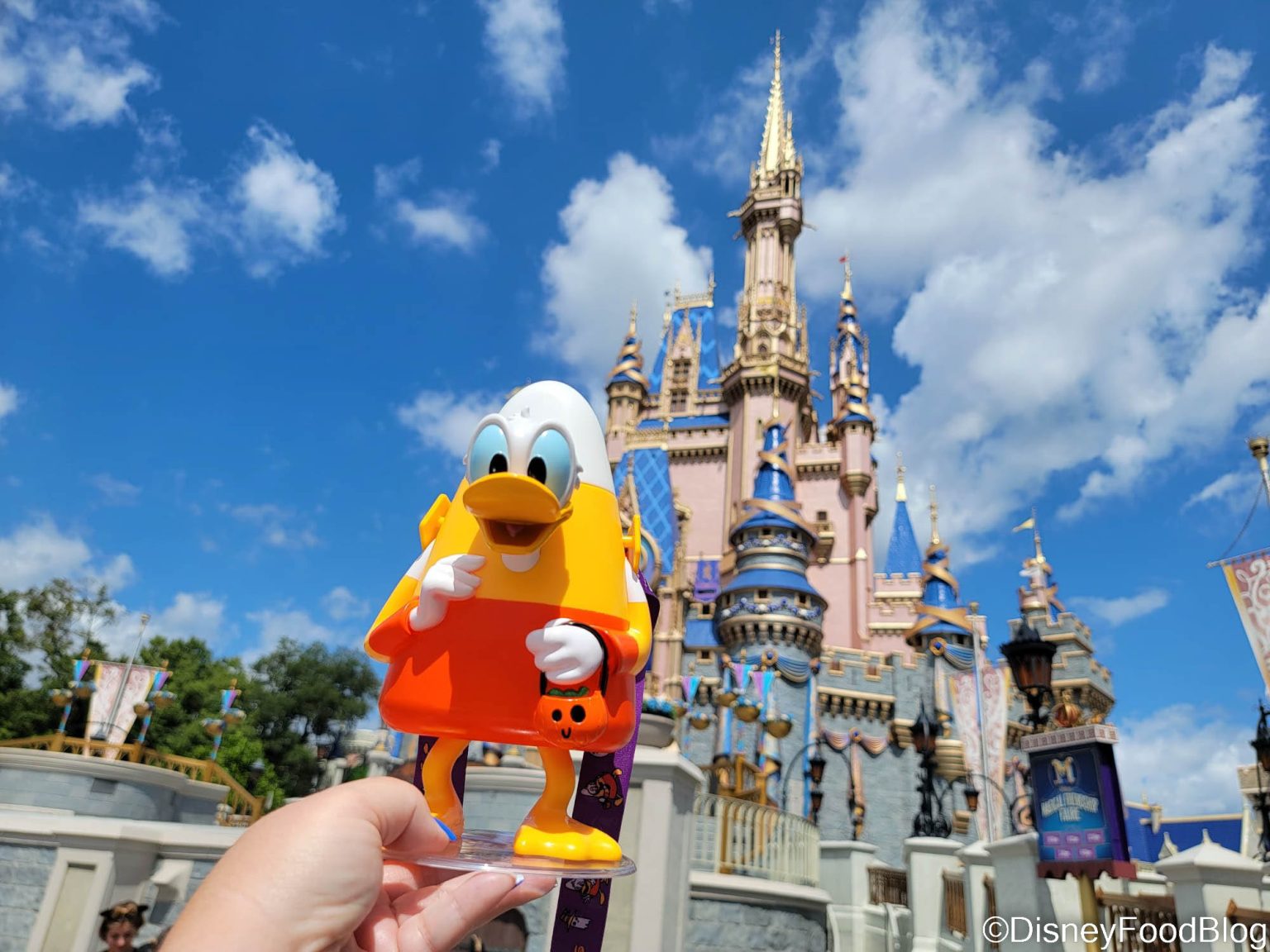 THIS IS NOT A DRILL: The Donald Duck Candy Corn Cup Is in Disney World ...