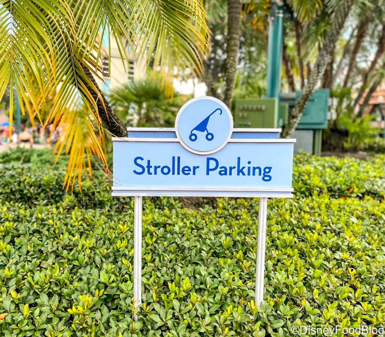 Everything You Need to Know About Stroller Rentals in Disney World ...