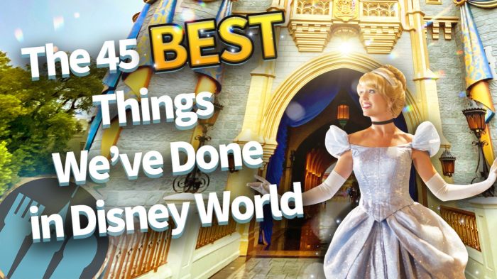 DFB Video: The 45 Best Things We've Done in Disney World | the disney ...
