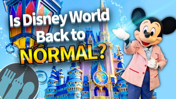 DFB Video: How 'Back To Normal' Is Disney World? | the disney food blog