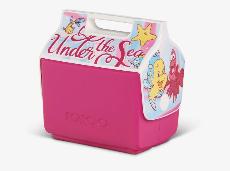Igloo Just Gave Their Coolers a Disney Princess Makeover | the disney ...