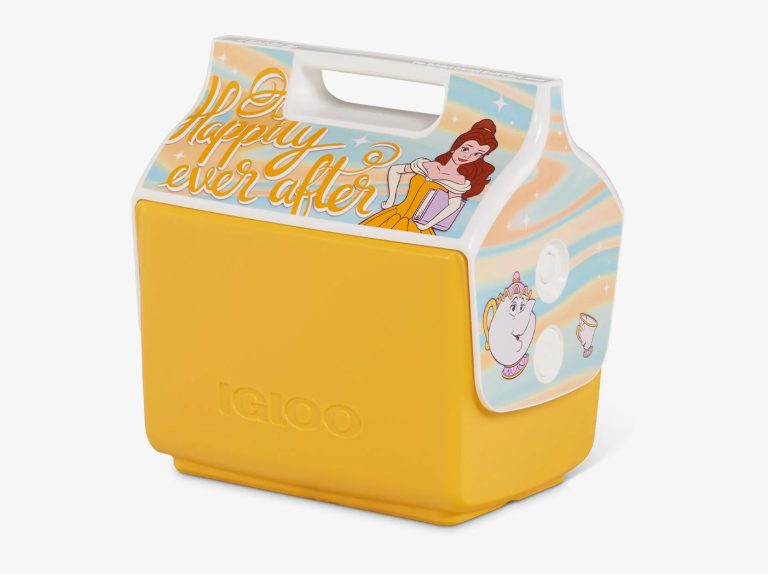 Igloo Just Gave Their Coolers a Disney Princess Makeover | the disney ...