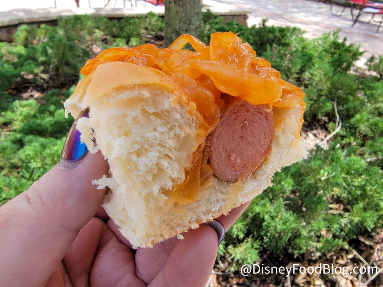 Buffalo Chicken Nachos and 2 More NEW Snacks Are Hiding in Disney World ...
