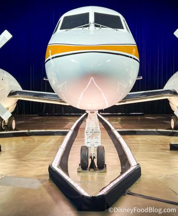 BIG PLANS Announced for Walt Disney's Plane | the disney food blog