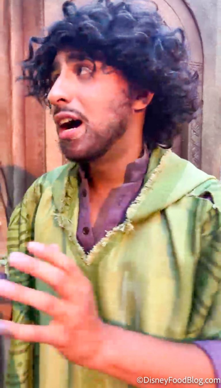 🚨 VIDEO: We HAVE to Talk About Bruno Now Because He Is AT Disneyland ...