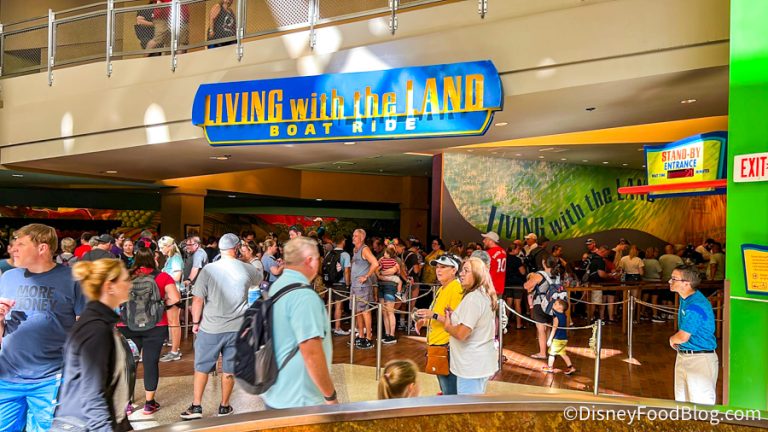 PHOTOS: See Inside Disney World After Hurricane Ian | the disney food blog