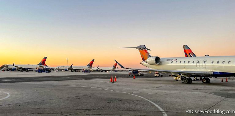 Southwest Is Offering $29 Flights for a Limited Time! | the disney food ...