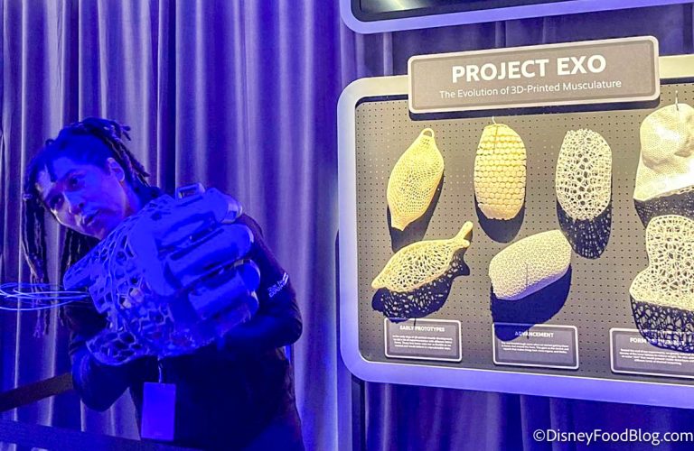 See the Invention That'll CHANGE Disney Meet-and-Greets Forever | the ...