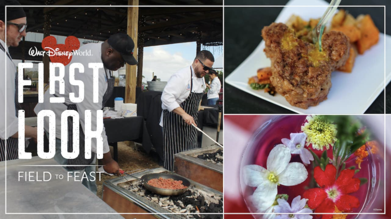 Where to Get Food Made by Disney Chefs WITHOUT Going to Disney World ...