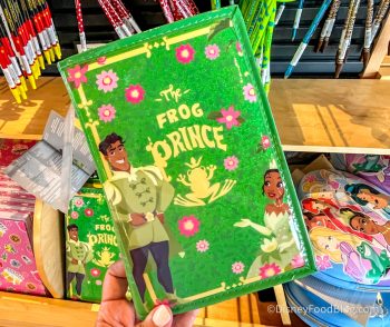 What's New in EPCOT: More Than 50(!!!) New Pieces of Merch | the disney ...