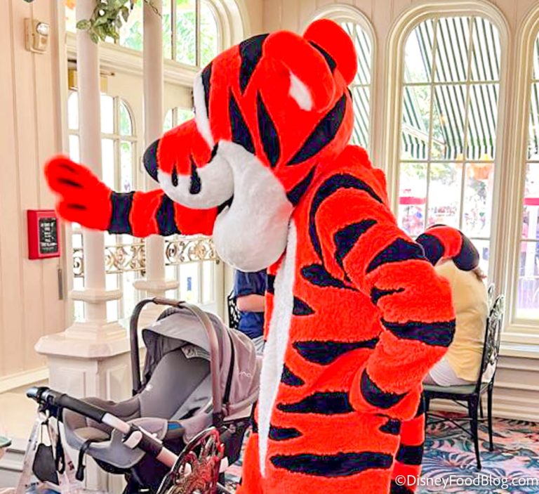 A NEW Restaurant, Returning Nighttime Shows, and More BIG Disney News ...
