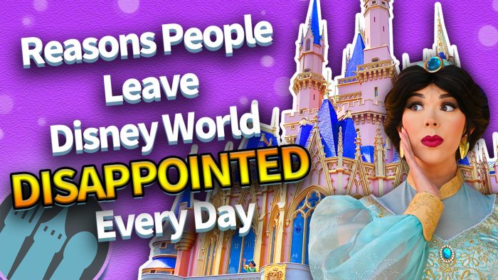 DFB Video: Why People Leave Disney World Disappointed Every Day | the ...
