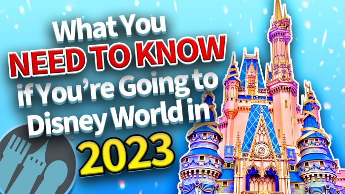 DFB Video: What You Need To Know if You're Going to Disney World in ...