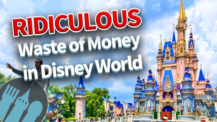 DFB Video: 14 Ridiculous Ways People WASTE MONEY In Disney World | the ...